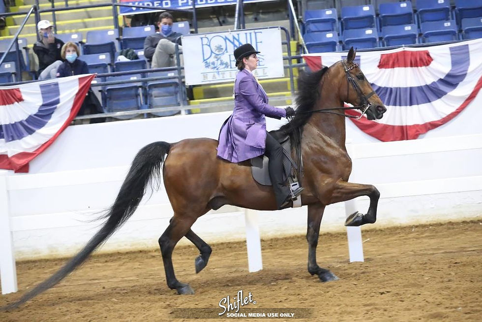 Meadow Wood Stables | Horseback Riding | 3341 Carvins Cove Road, Salem ...