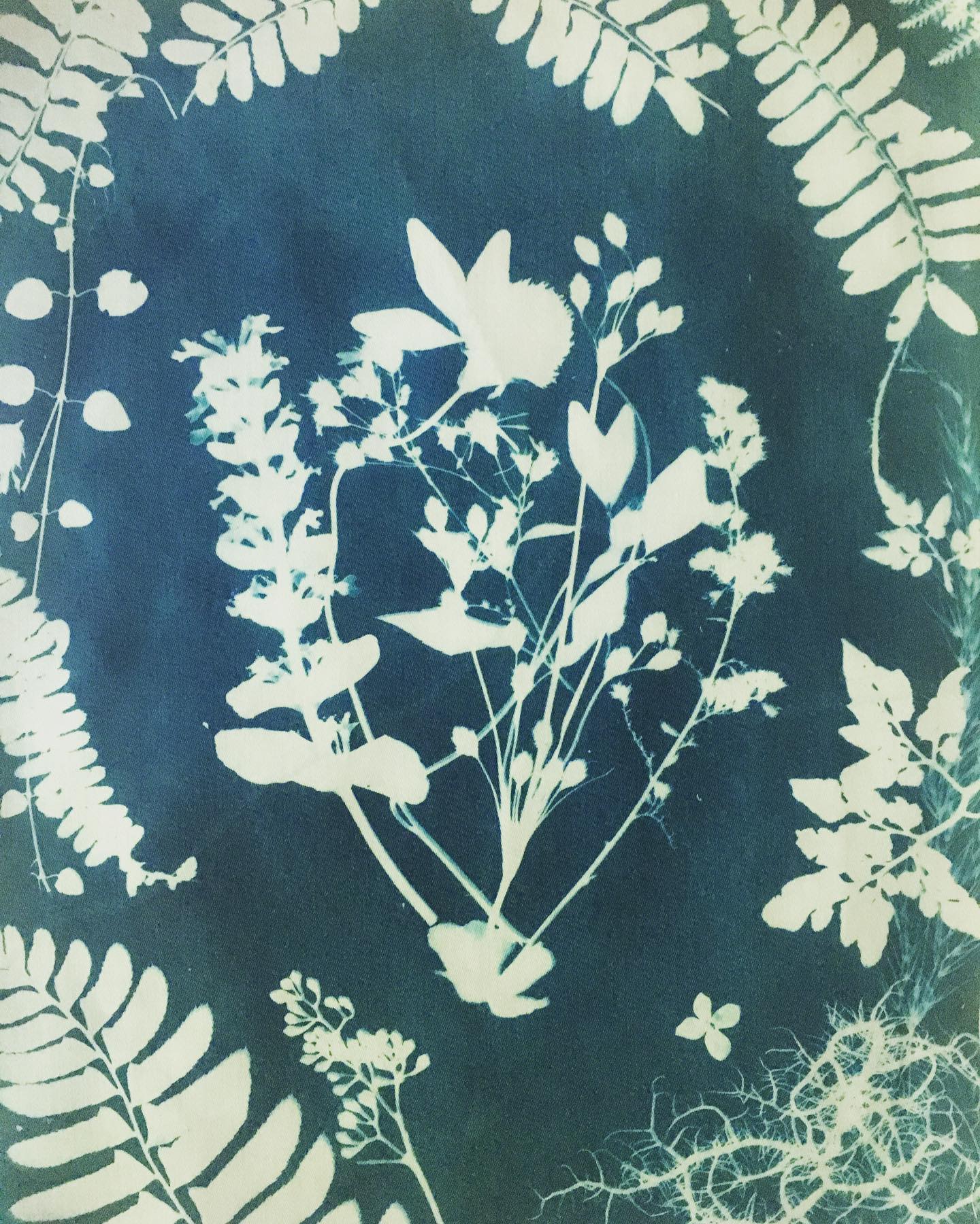 Prints Digital Prints Art & Collectibles Cyanotype Cottonwood Blue etna ...