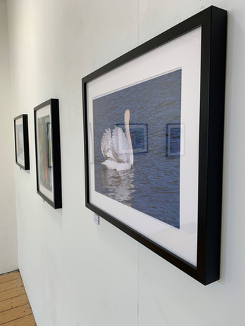 EXHIBITIONS | Llanover Hall Arts
