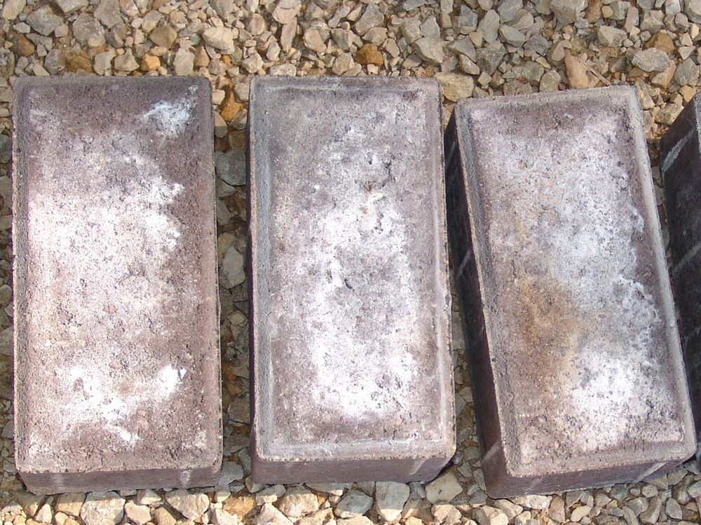 What is efflorescence in brick pavers?