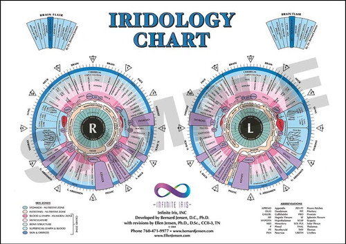 Infinite Iris Iridology Chart (A4) | Lis Conlon Herbalist