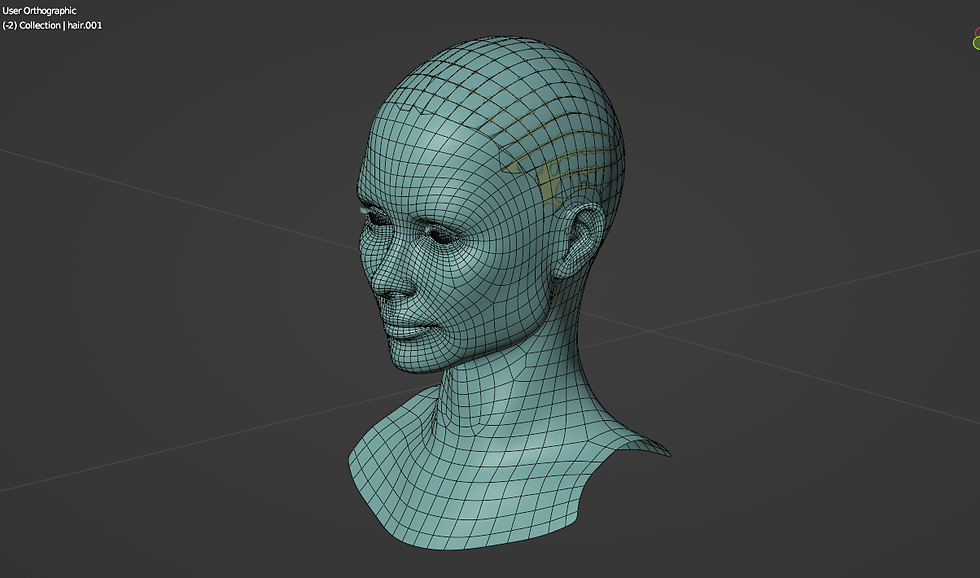 Sculpting Lifelike Hair and Fur in 3D | Blog | Whizzy Studios