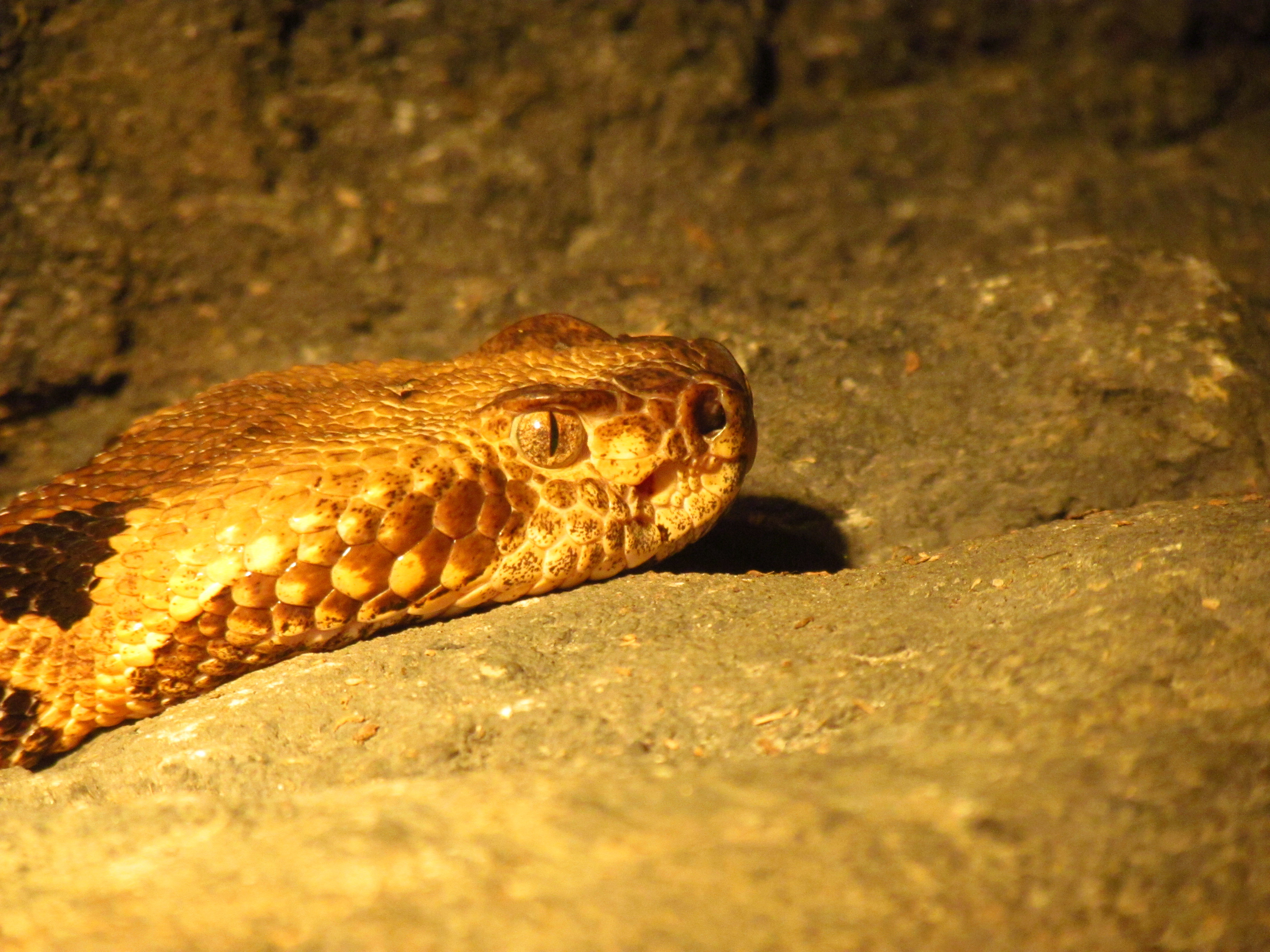 Home | SB Photography