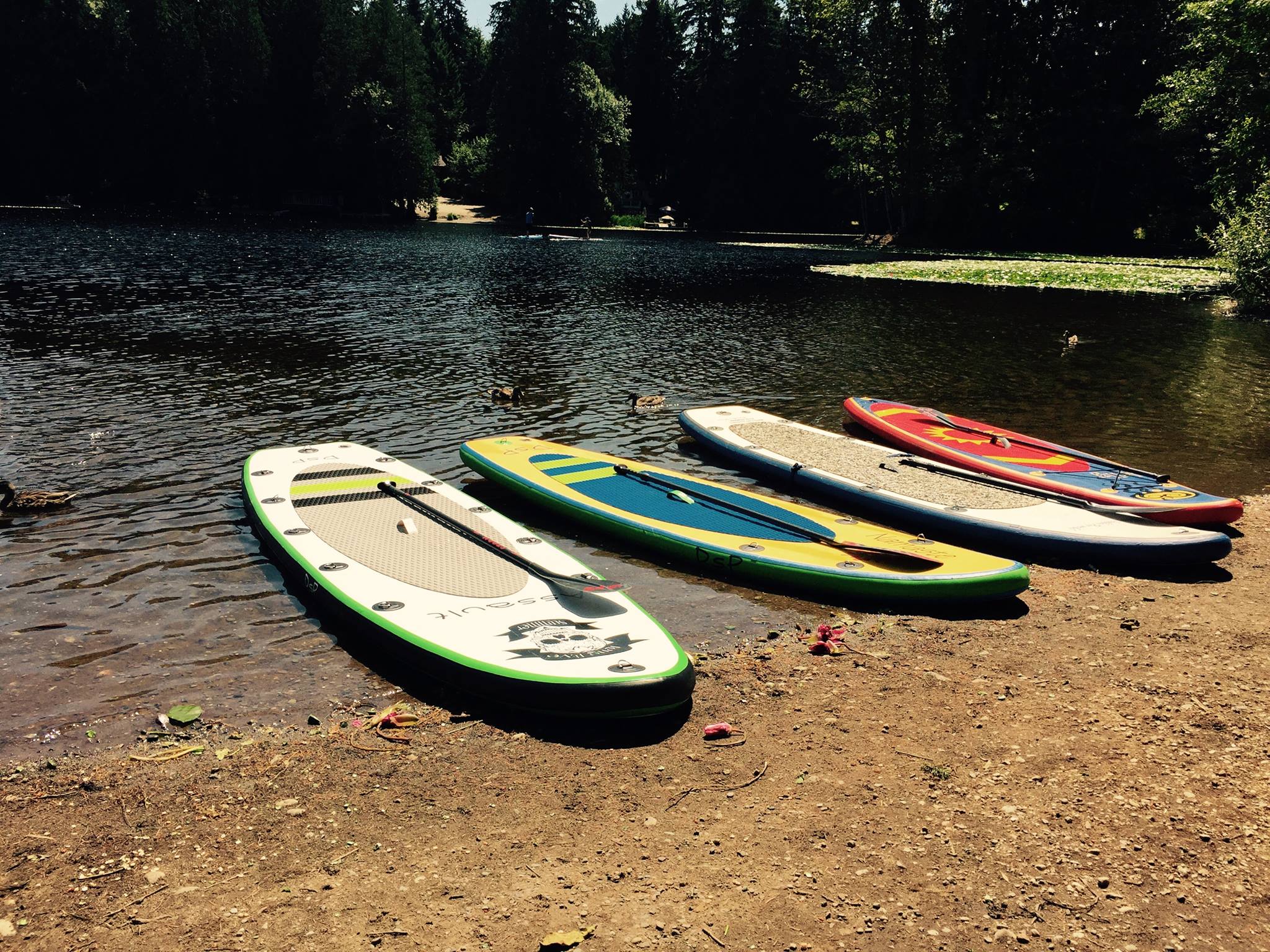 Paddleboards | davescaddensports