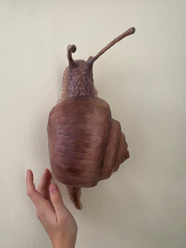 Basil the large wall snail | nicoleparishfineart3