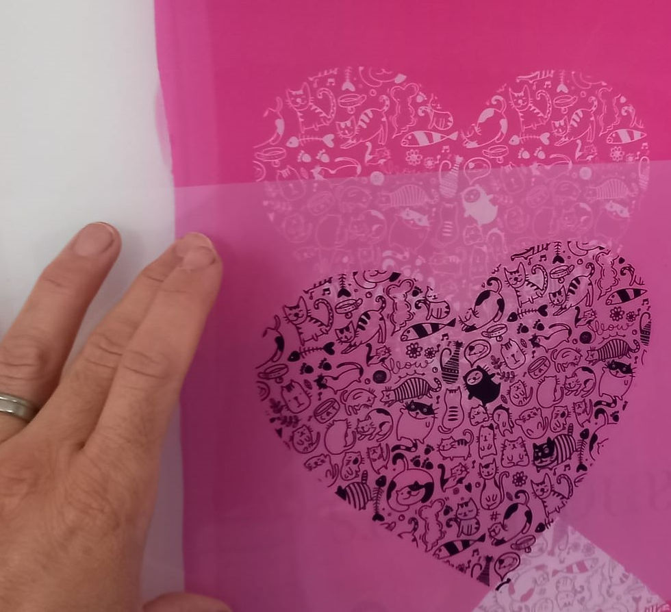 Screen Exposure | Flat Fox Shop