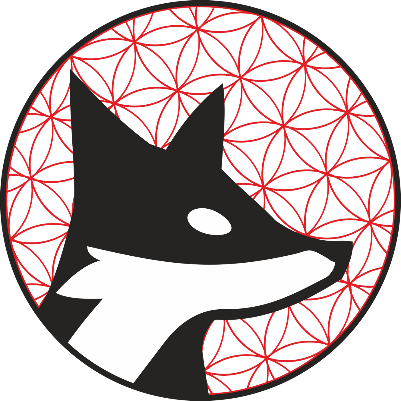 Beginner's Guide | Flat Fox screen printing supply shop