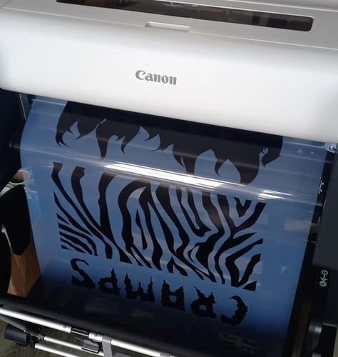 Custom Printing Service onto Acetate Positives | Flat Fox Shop