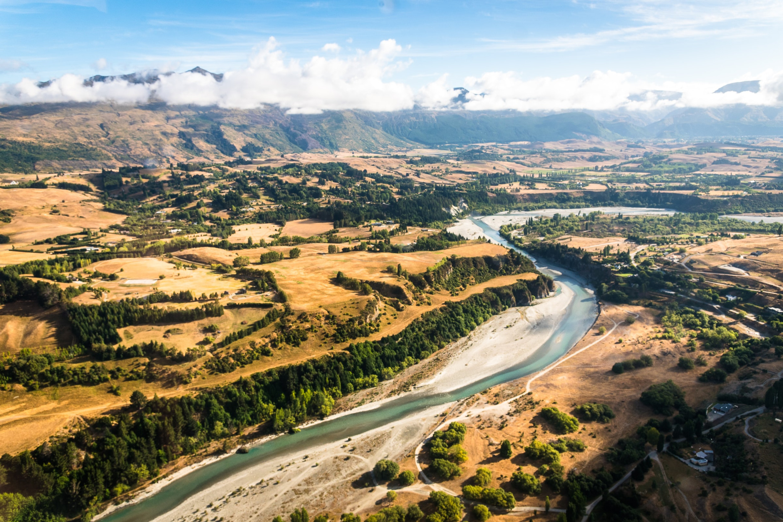 Is my forest eligible for carbon credits under the ETS?