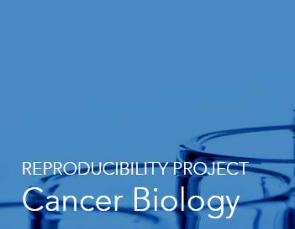 What we have learned from the Reproducibility Project: Cancer Biology