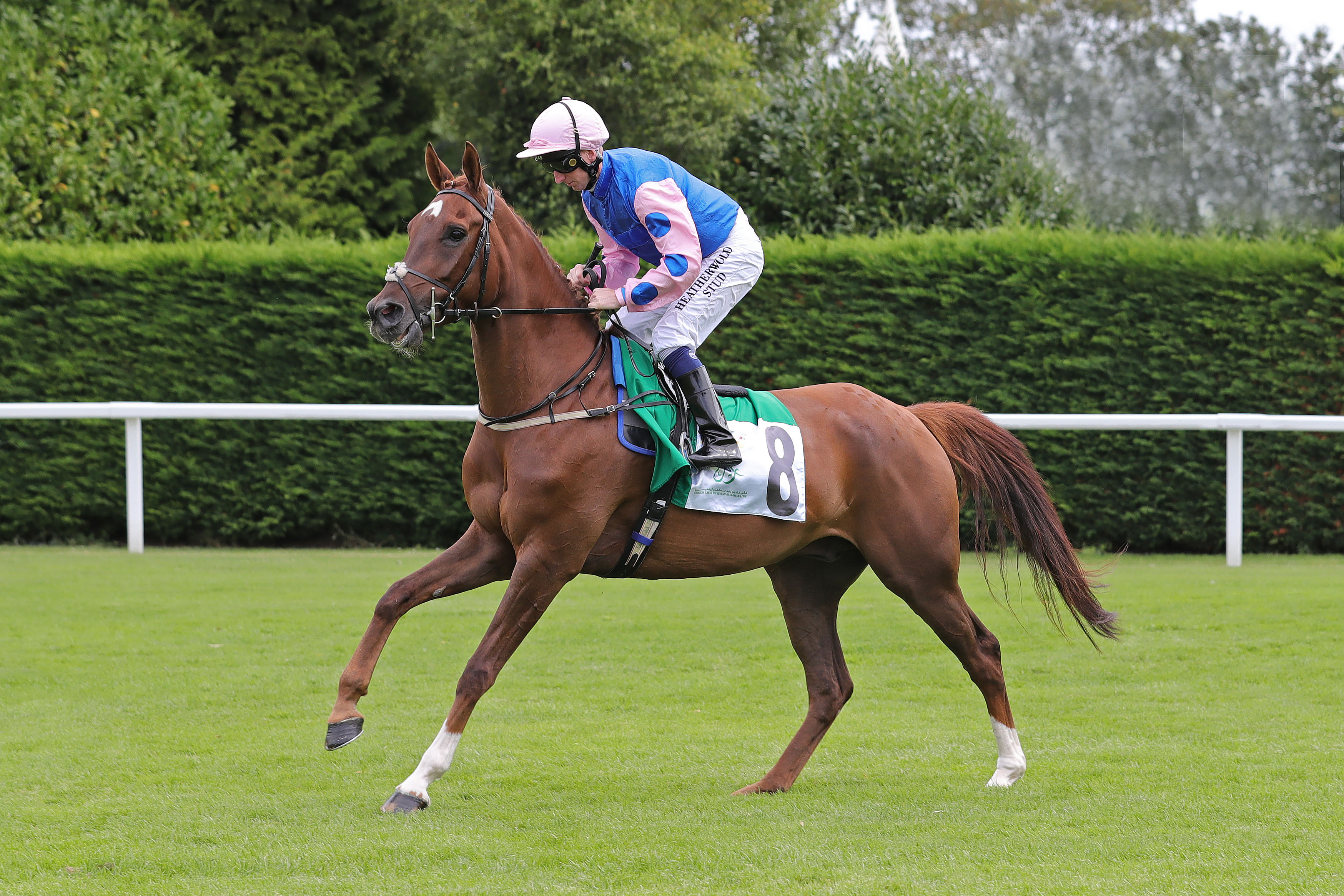 James Owen Racing | Newmarket | Suffolk