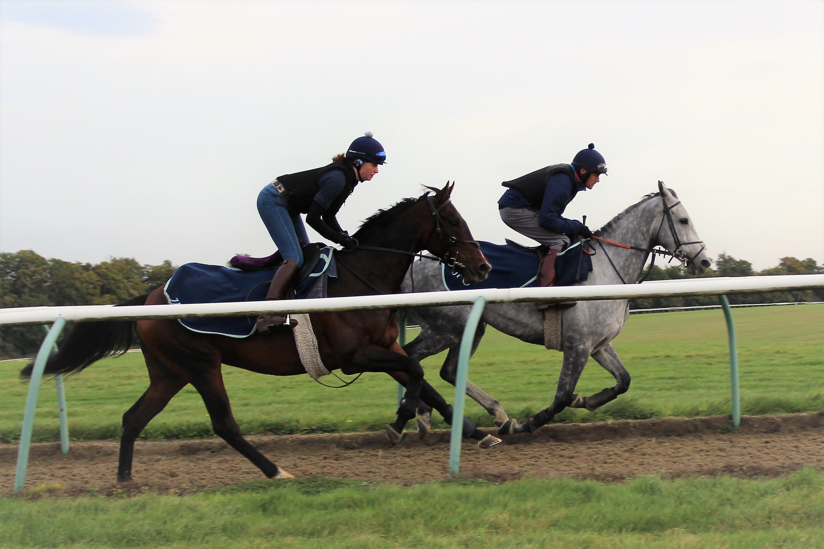 James Owen Racing | Newmarket | Suffolk