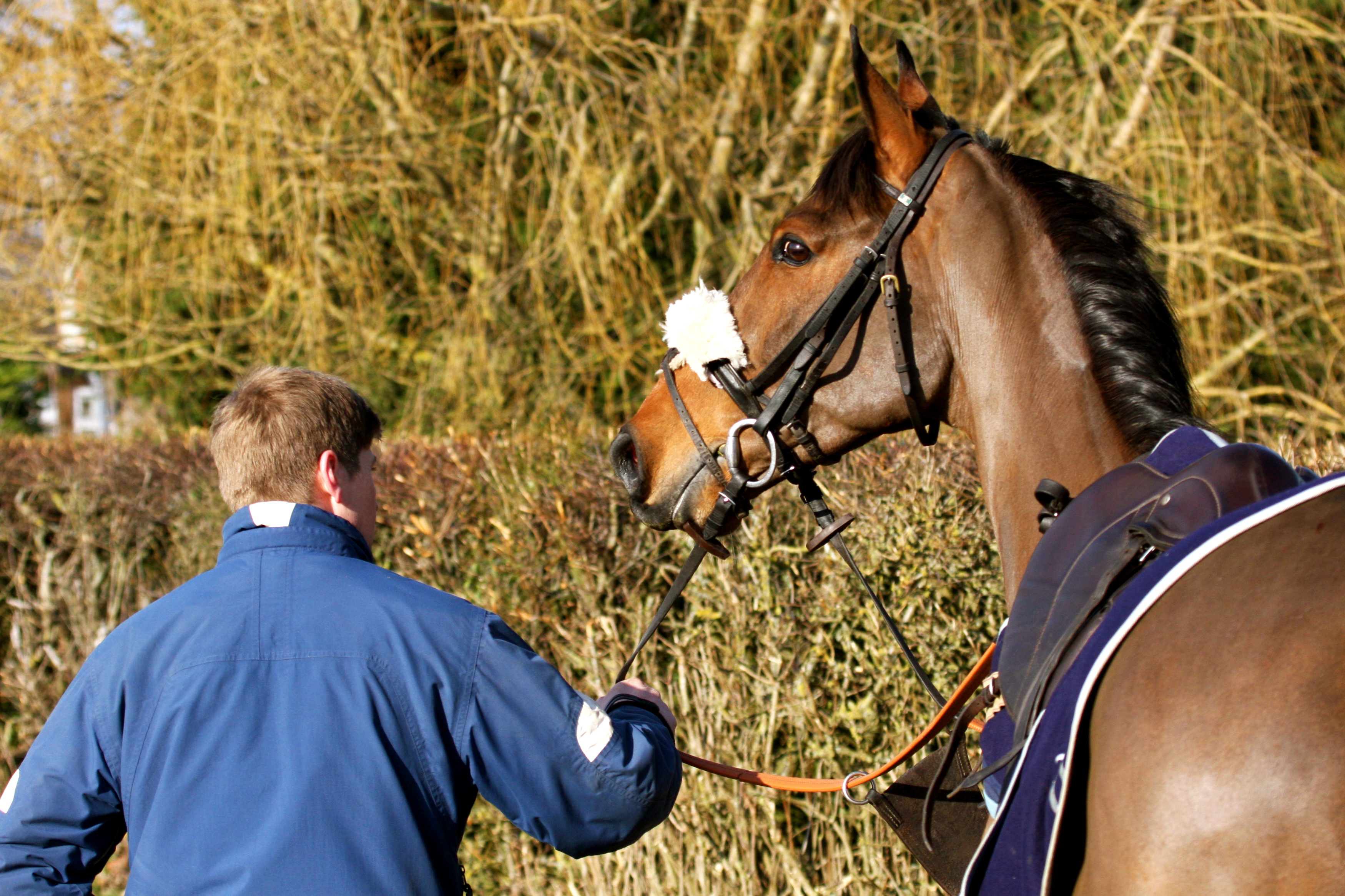 James Owen Racing | Newmarket | Suffolk