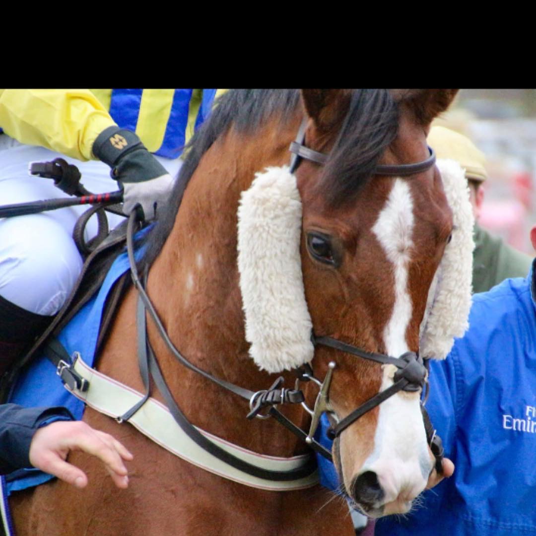 James Owen Racing | Newmarket | Suffolk