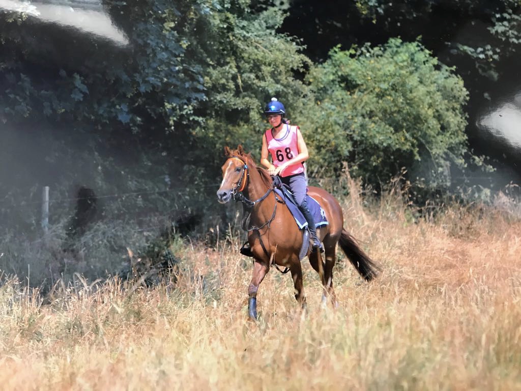 James Owen Racing | Newmarket | Suffolk