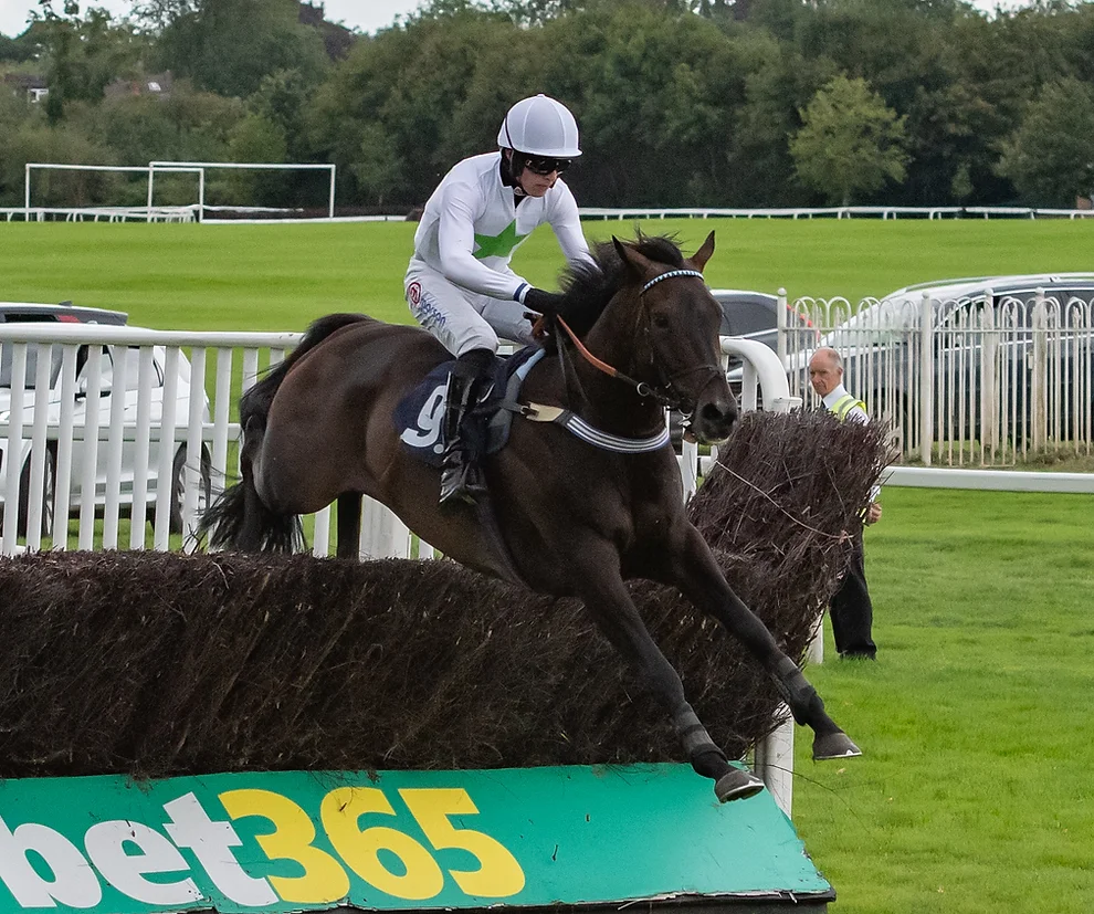 James Owen Racing | Newmarket | Suffolk