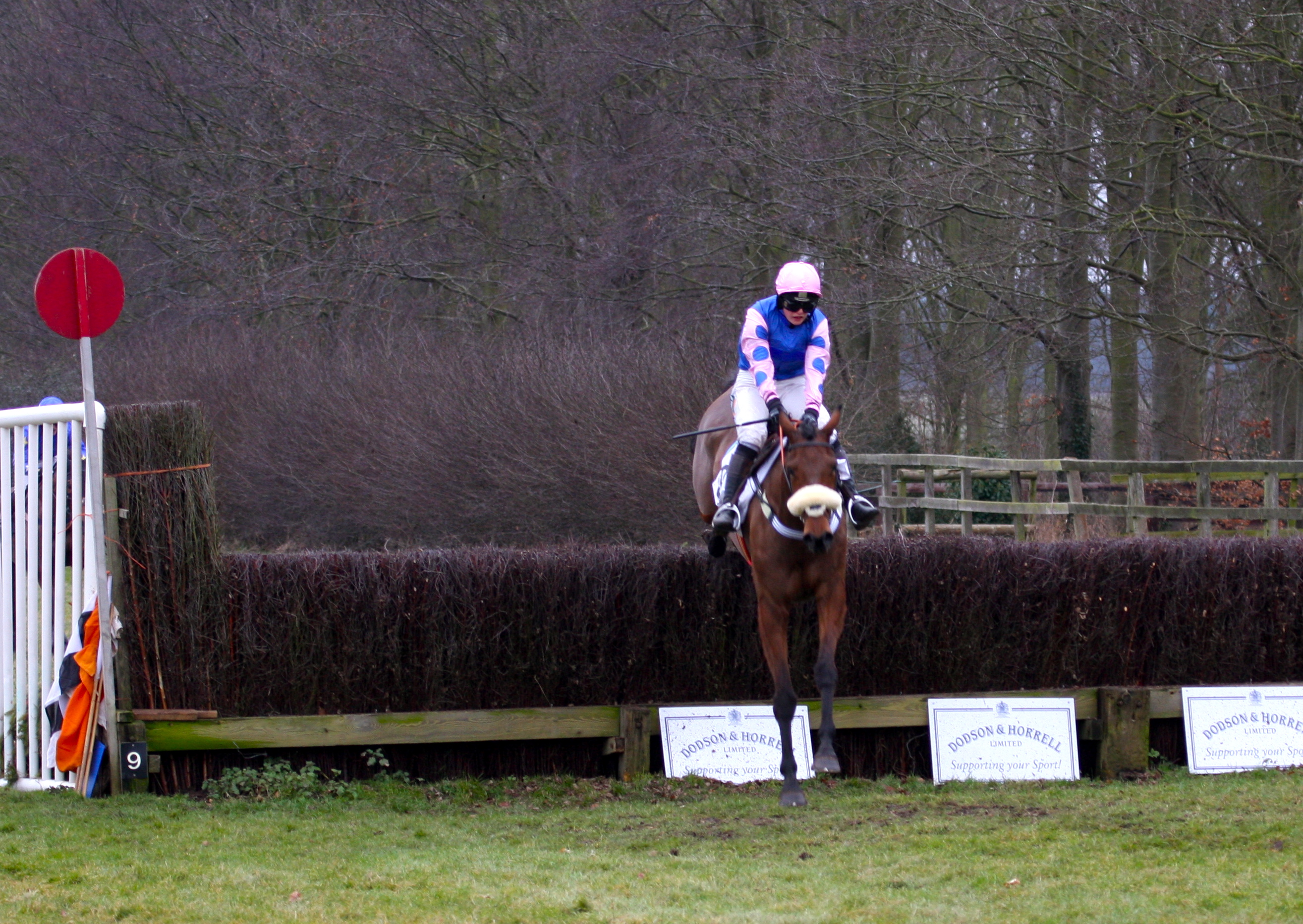 James Owen Racing | Newmarket | Suffolk