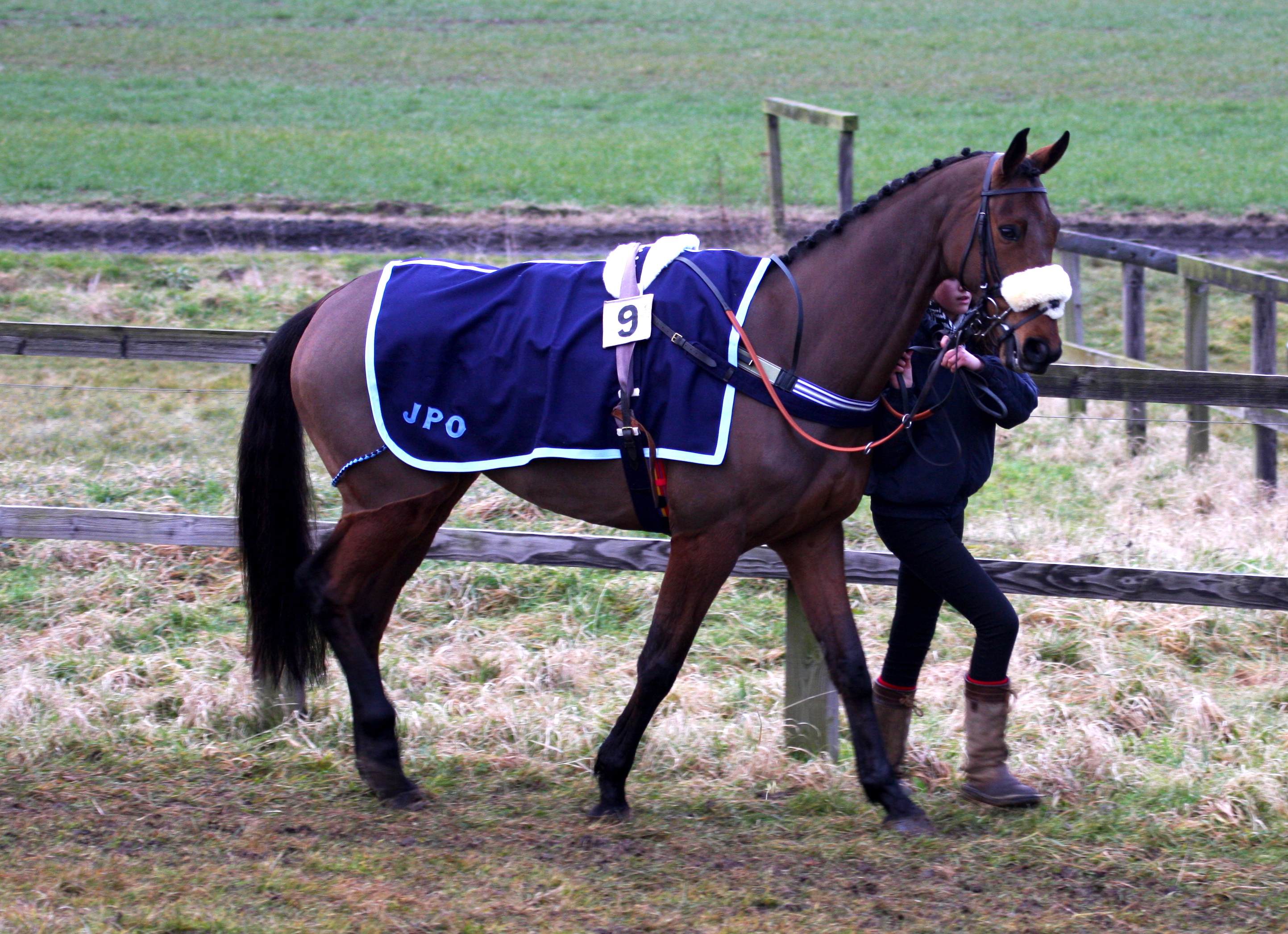 James Owen Racing | Newmarket | Suffolk