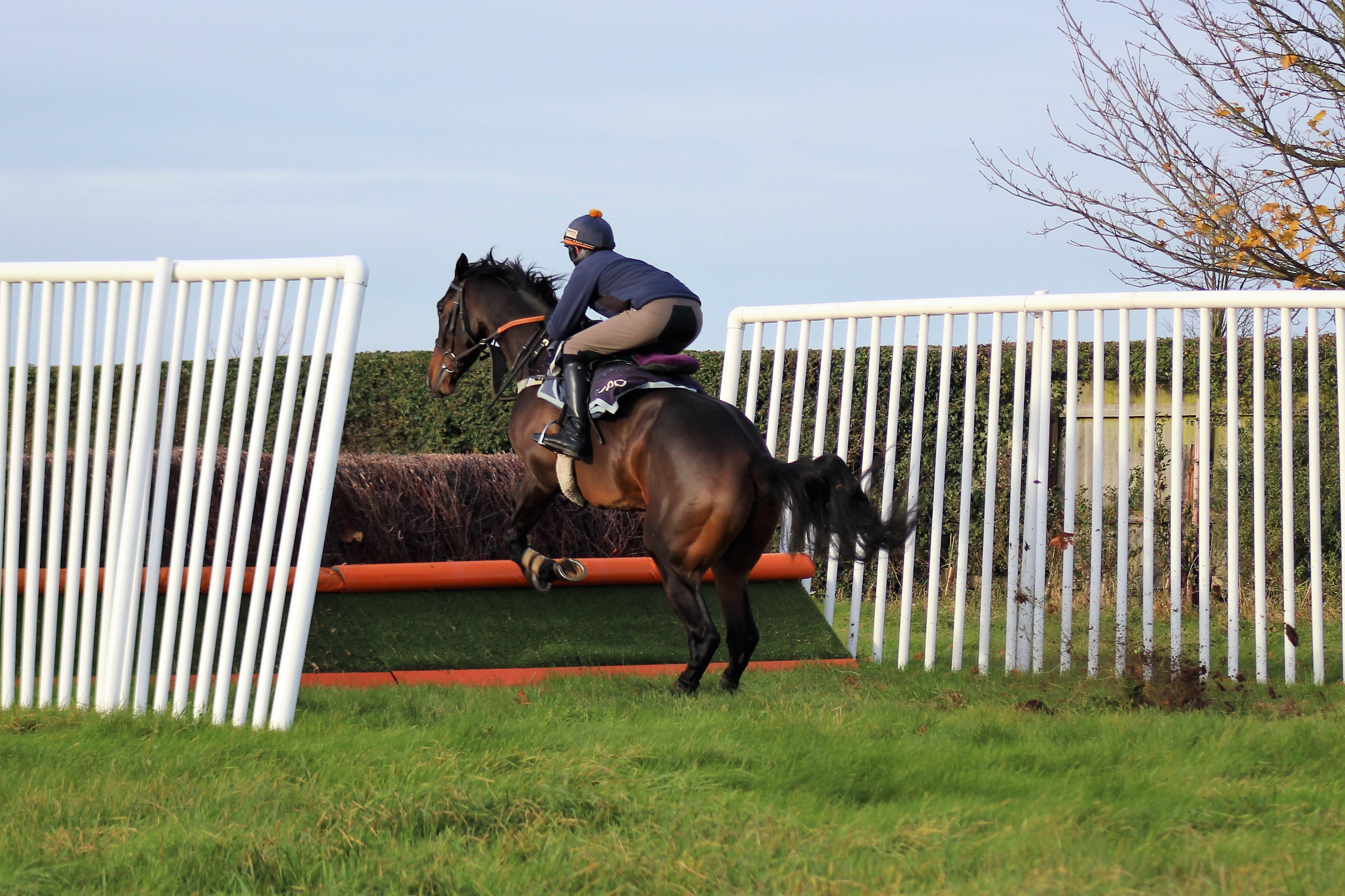 James Owen Racing | Newmarket | Suffolk