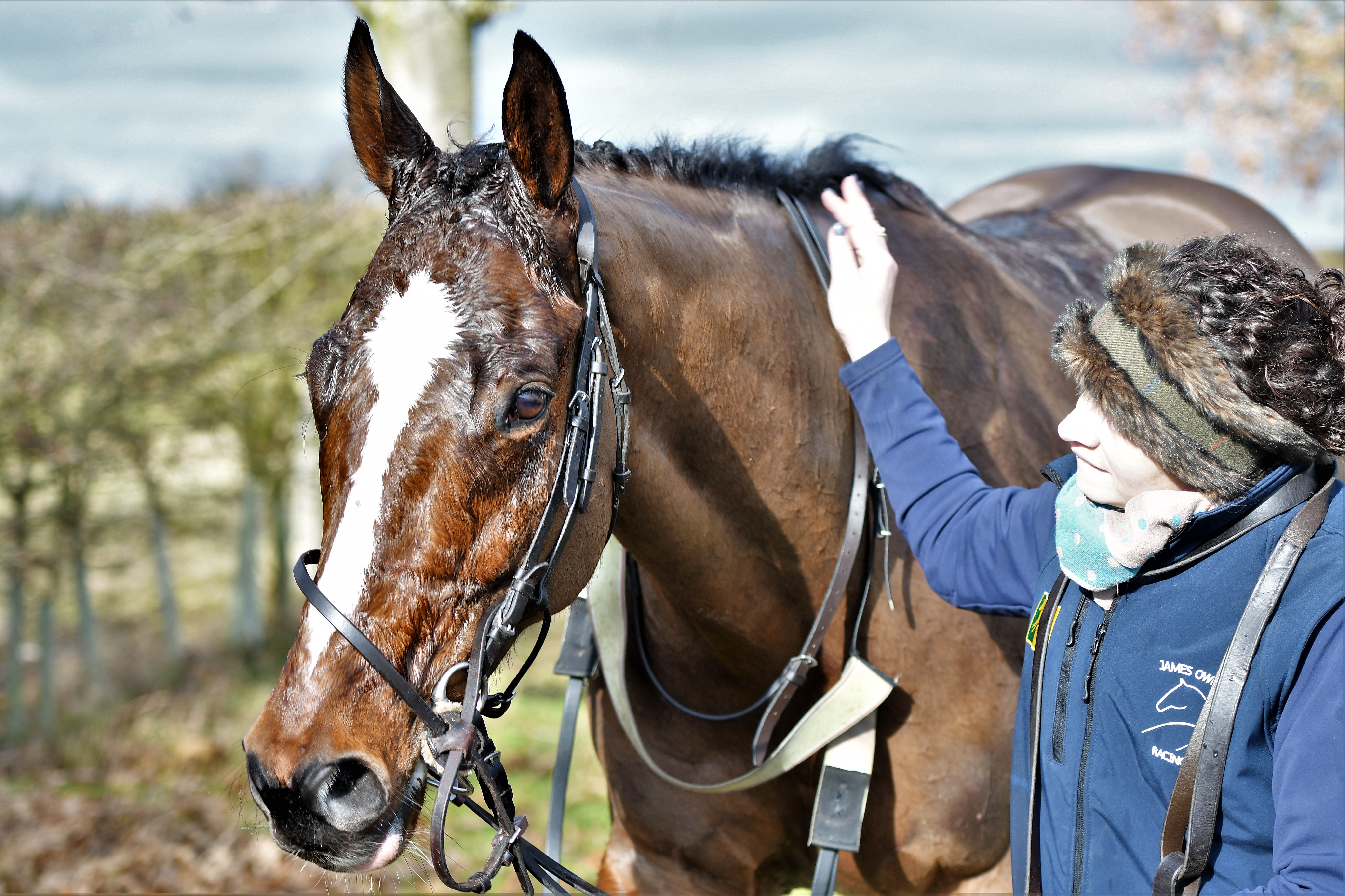 James Owen Racing | Newmarket | Suffolk