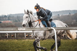 James Owen Racing | Newmarket | Suffolk