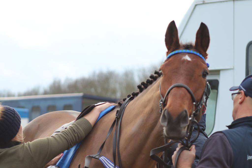 James Owen Racing | Newmarket | Suffolk