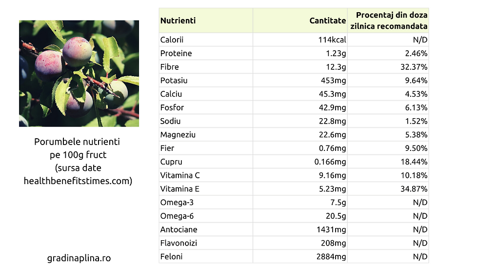 Cand se culeg porumbele