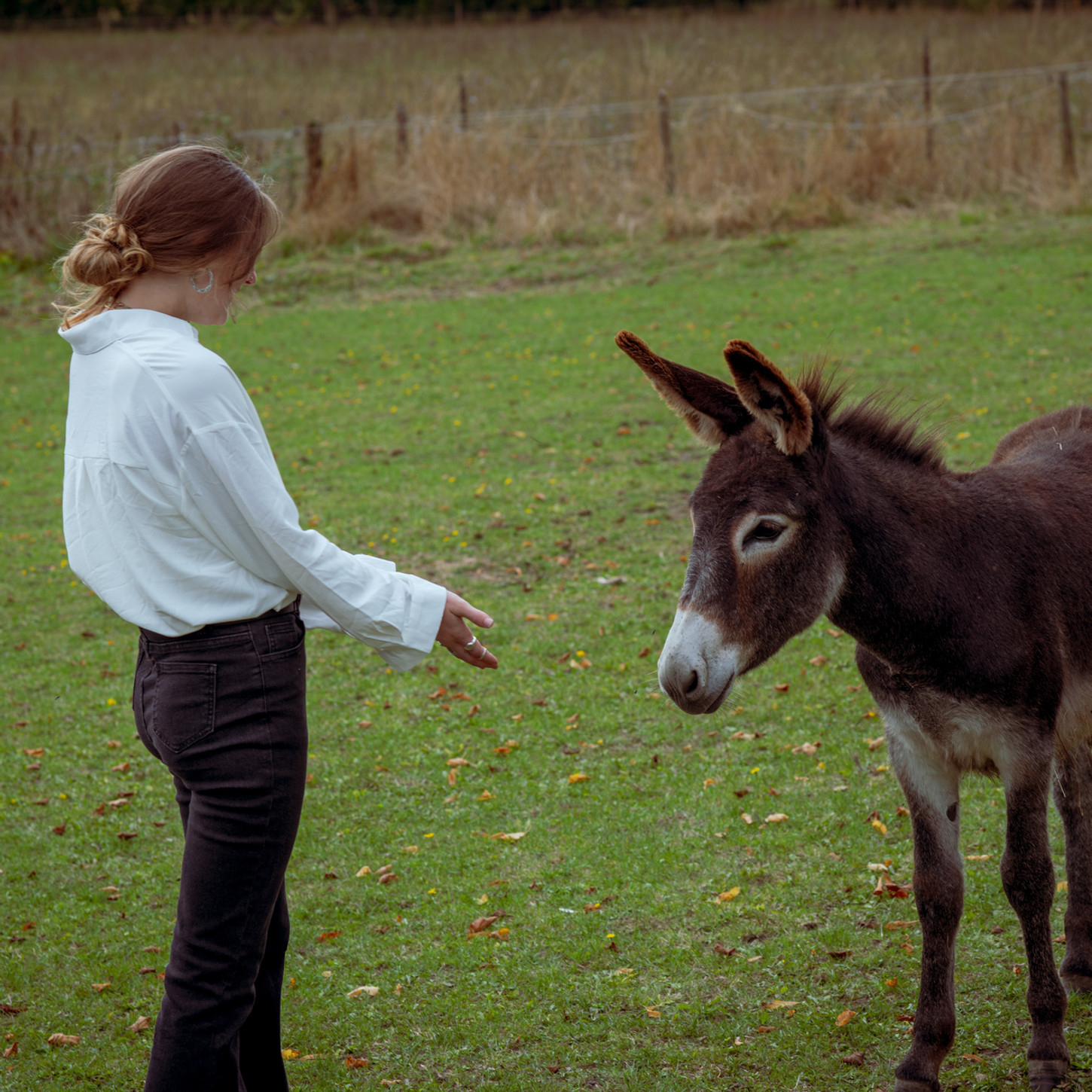 The Farm | katyboydphoto