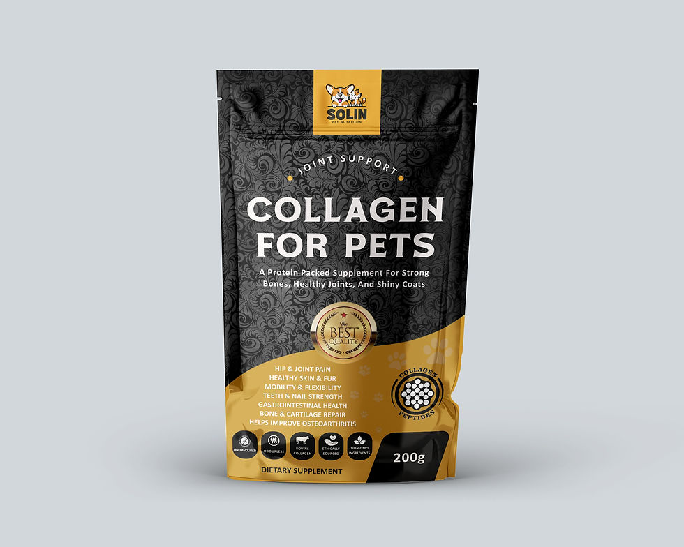 OTHER PRODUCTS | SOLNACKS