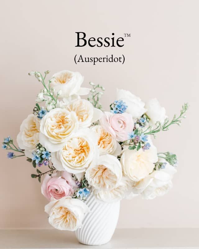 3 New David Austin Varieties And 6 Florists From Around The World