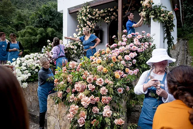 Alexandra Farms Blog