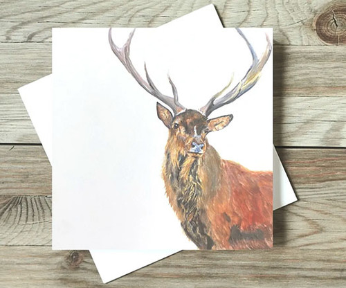 Stag card | Jane Haigh