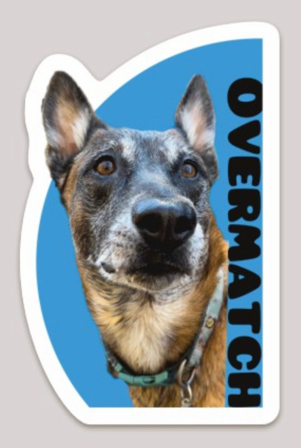 Shop | Overmatch Consultinghttps://static.wixstatic.com/media/aec58d ...