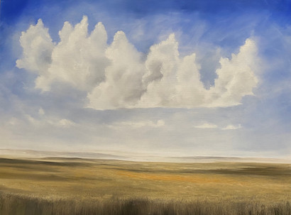 THE ARTISTS | The Harris Gallery
