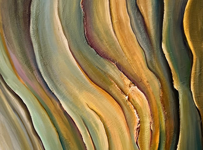 THE ARTISTS | The Harris Gallery