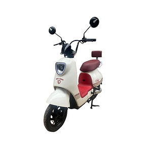 จักรยานไฟฟ้า LION EV ไปไหนก็ได้ ไม่ง้อน้ำมัน