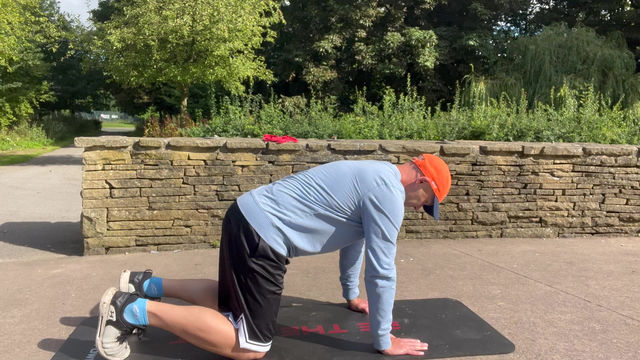 Low back pain and spinal mobilisation.....