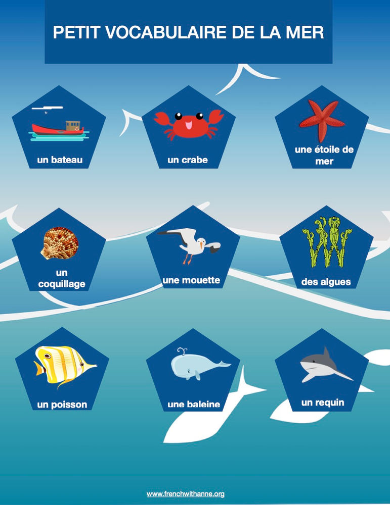 Petit vocabulaire de la mer
