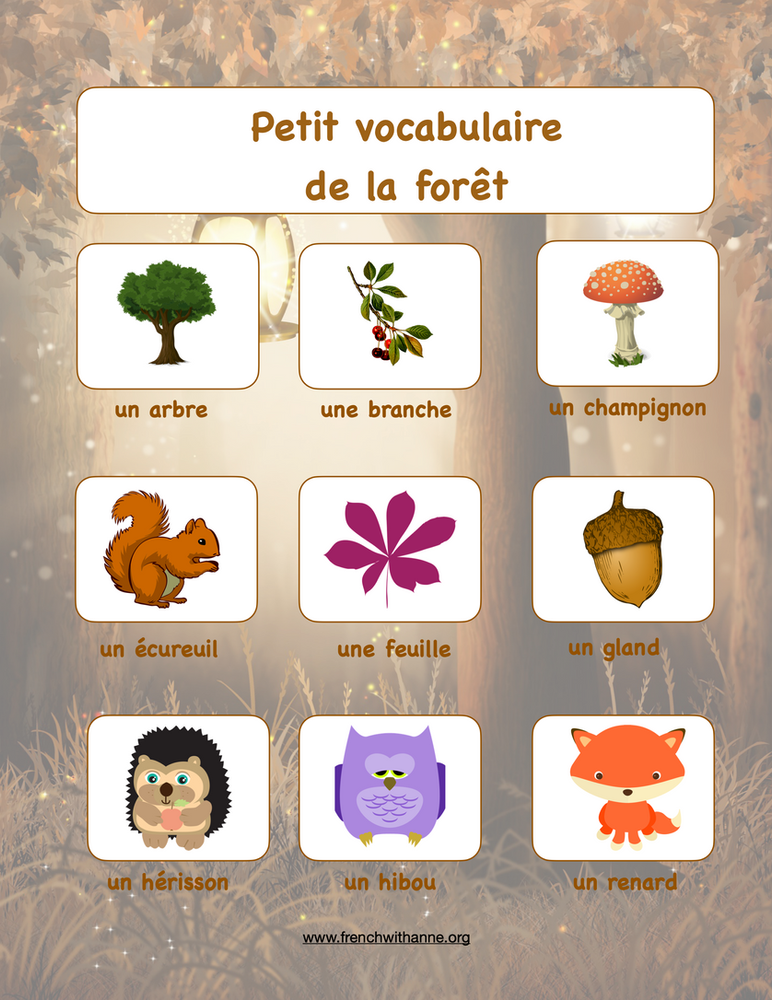 petit vocabulaire de la forêt