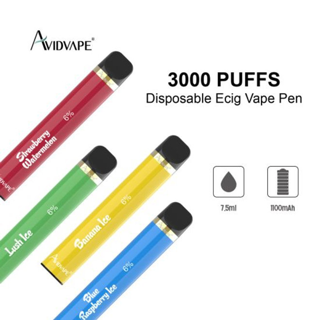What Is The Meaning Of The Disposable Electronic Cigarette Vape?