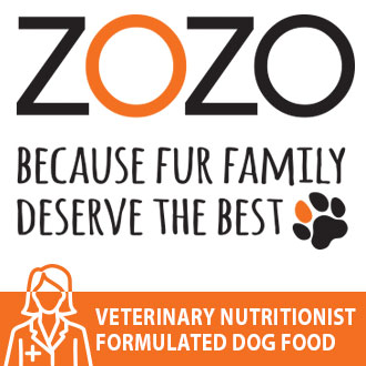 Join “Zozo Pets” on Spaces by Wix