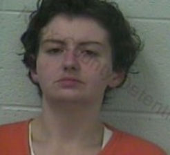 Cemetery property distruction leads to arrest of a Scalf, Ky woman