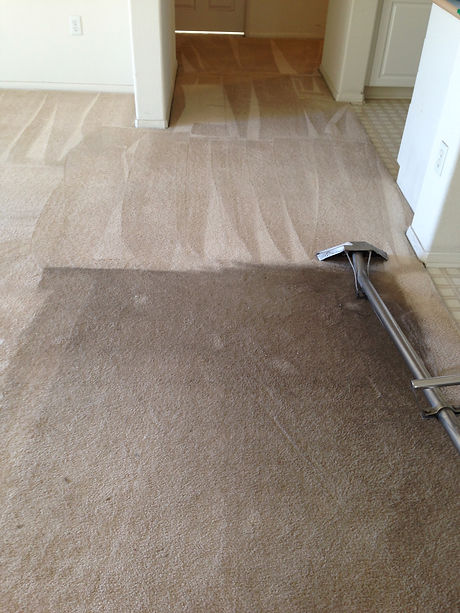 Professional carpet and upholstery cleaning | Pro Clean Orange County