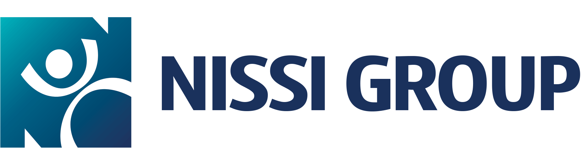 SERVICES | nissigroup
