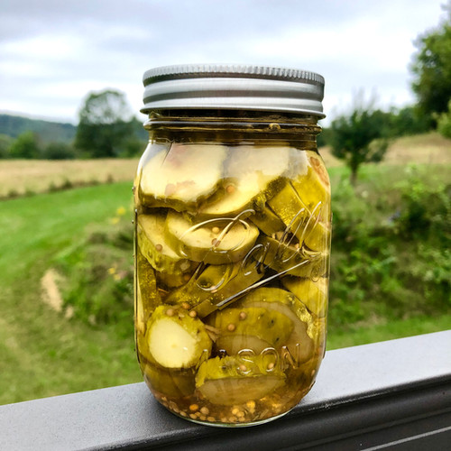 Dale's Cucumber Pickles, no dill/garlic | Six Sons Farm