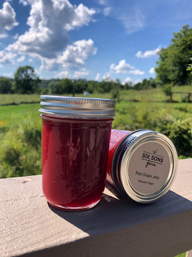 Red Grape Jelly | Six Sons Farm