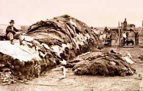 "Every Dead Buffalo is an Indian Gone"