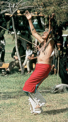 The Sacred Sun Dance