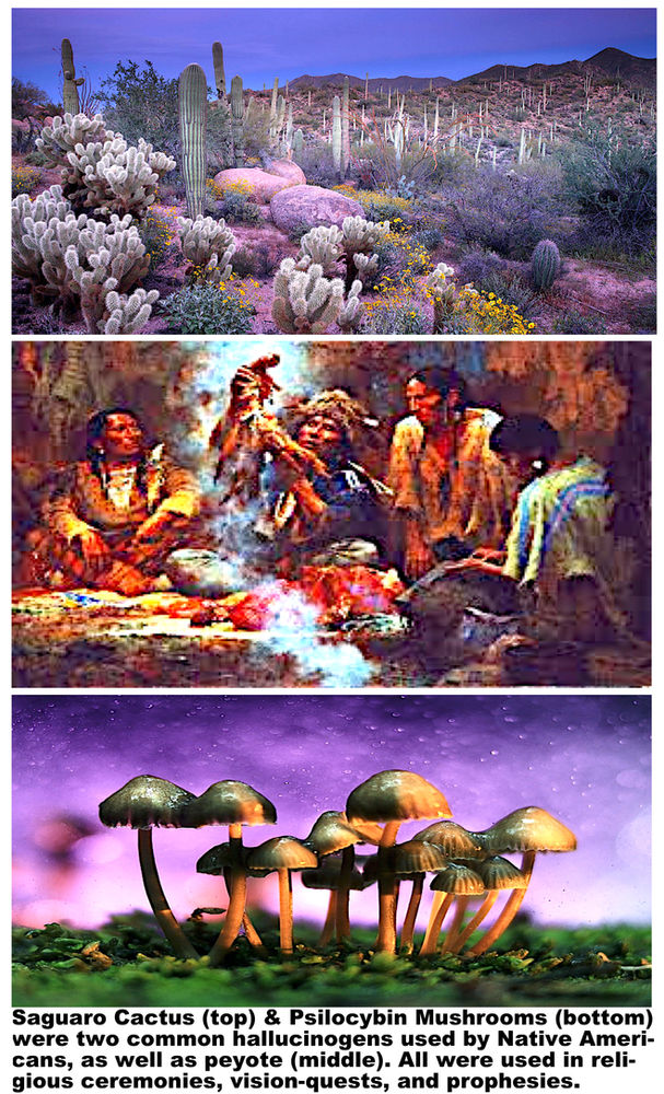Hallucinogens & Native Spirituality