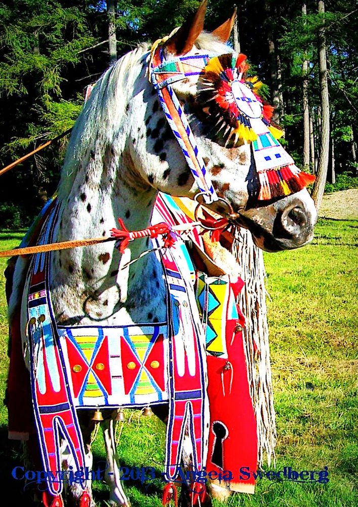 The Origin of Appaloosas